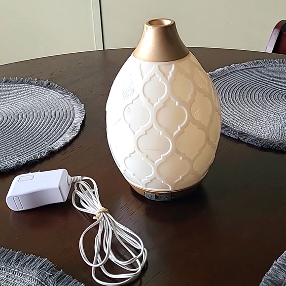 Young Living | Other | Young Living Desert Mist Essential Oil Diffuser ...